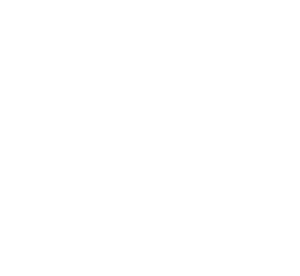 Samurai Security: Enabling organisations to innovate, securely.